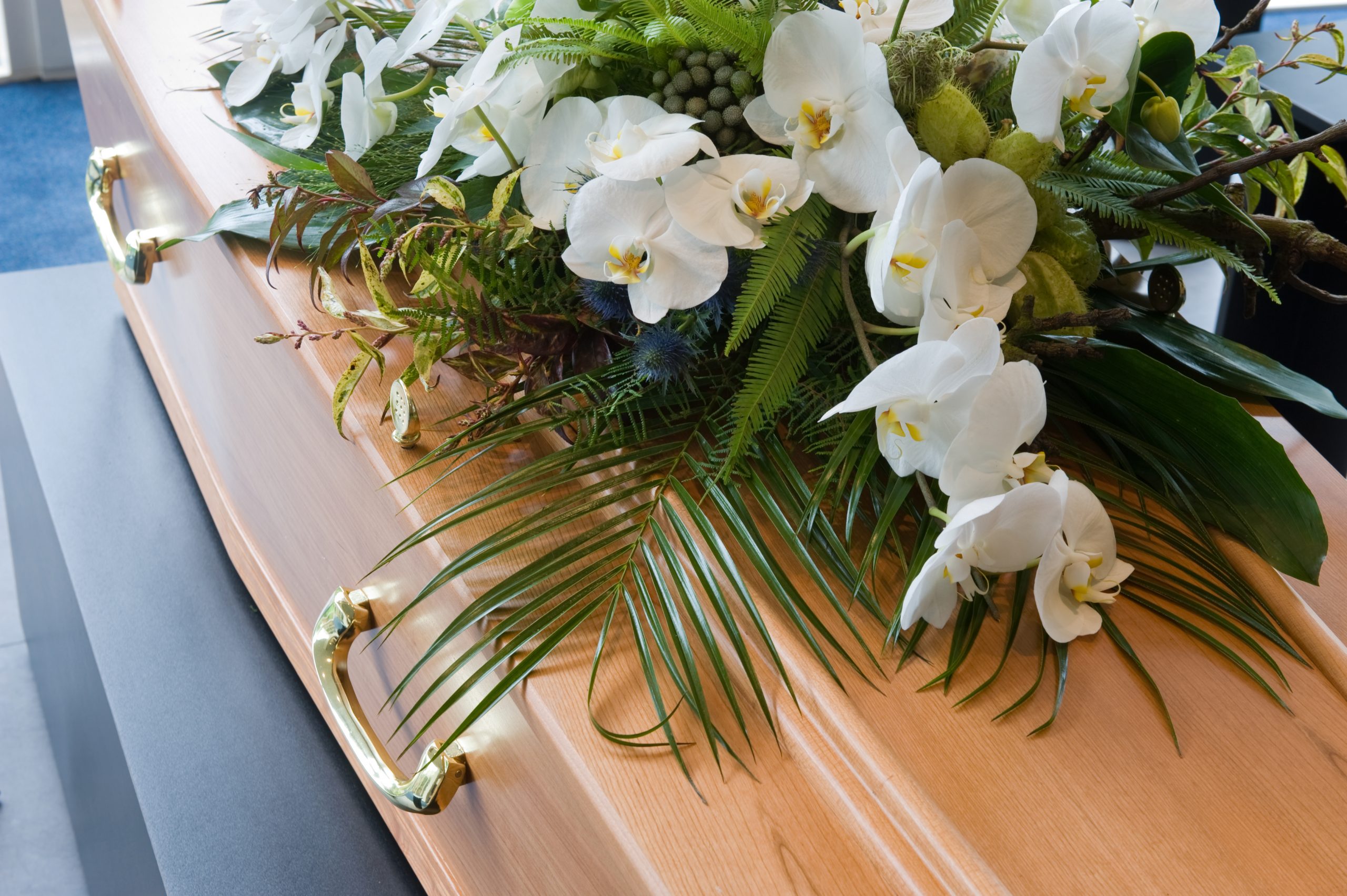 Natural VS. Traditional Burials - Blog | American Heritage Cemetery ...